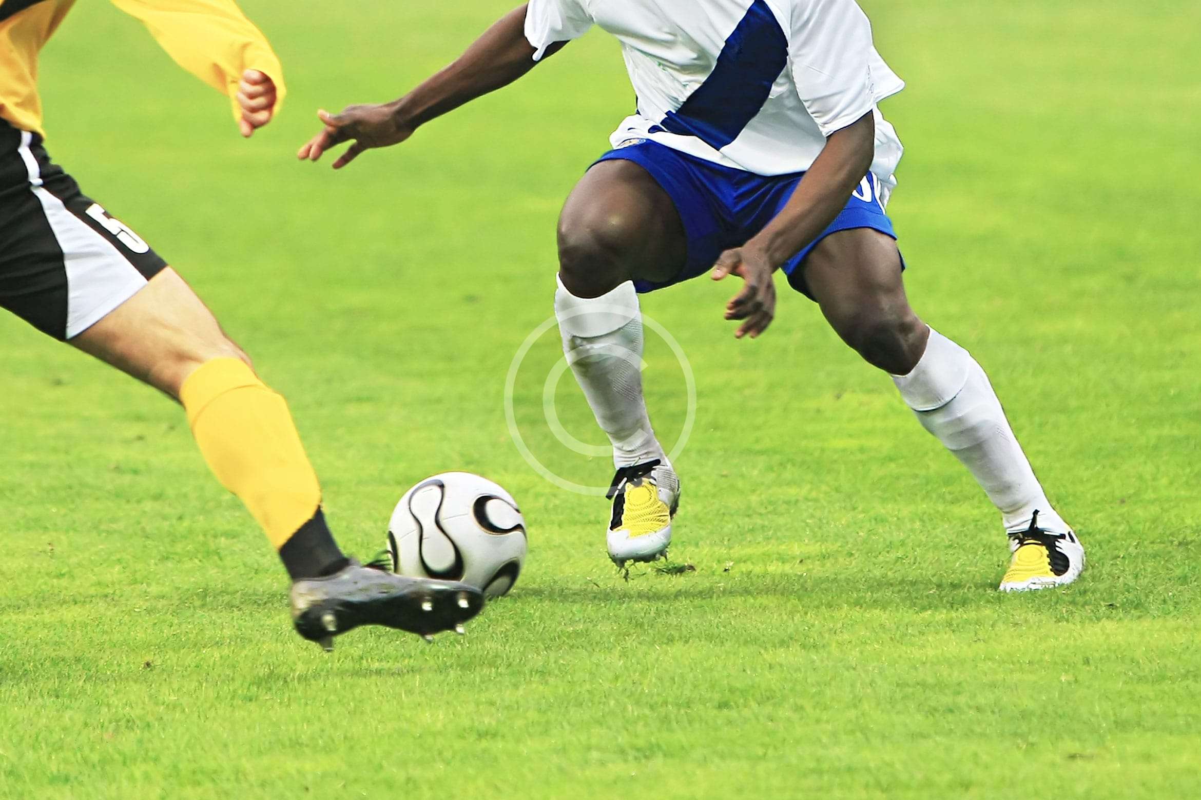 gallery7color – Renegades NY FC